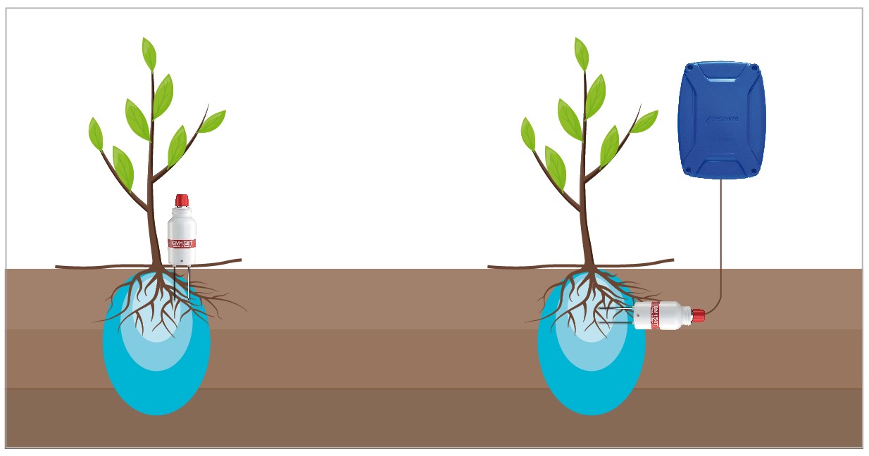 Importancia de los sensores de humedad para diseñar una estrategia de ...