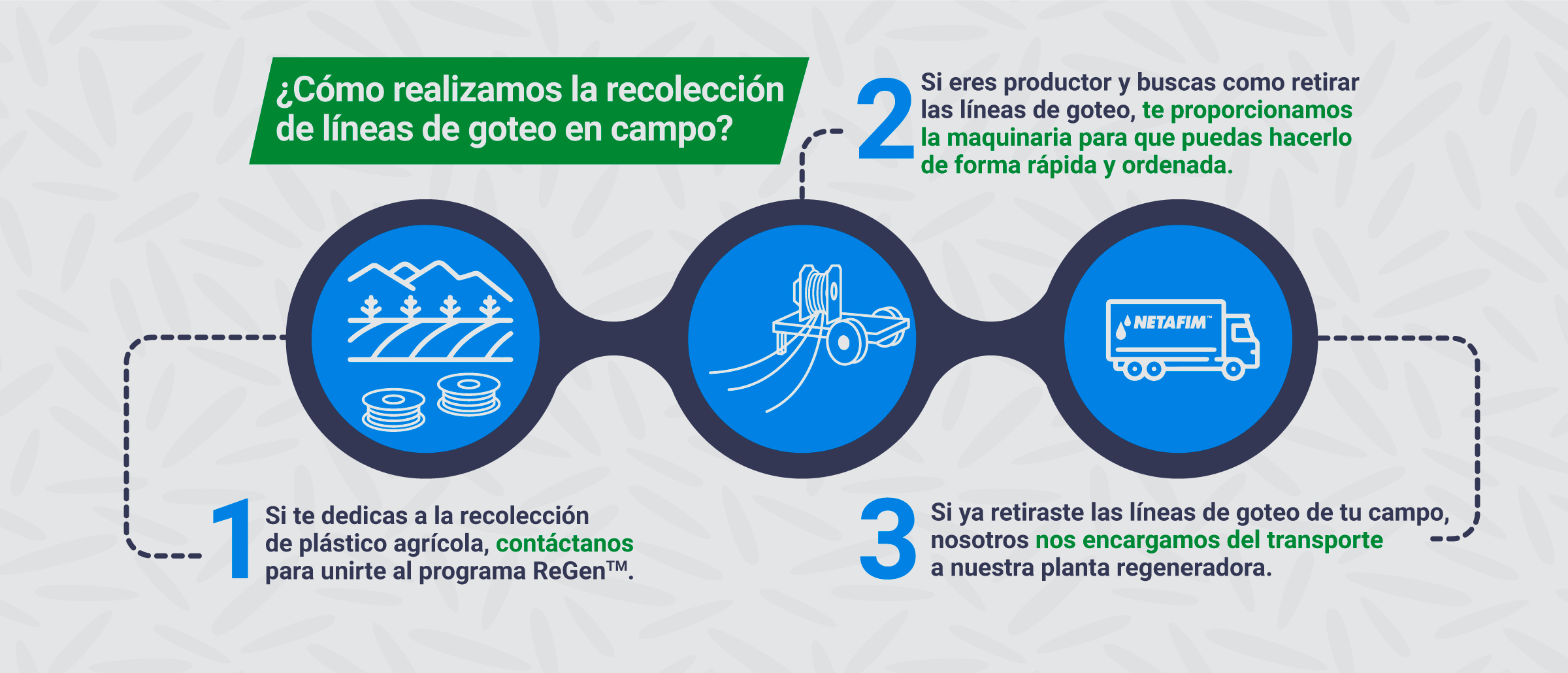 Programa de recolección ReGen